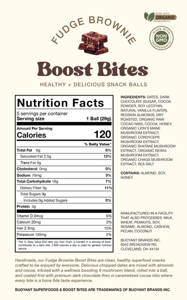 Fudge Brownie BOOST BITES Snack Balls – Buoyant Brands Inc.
